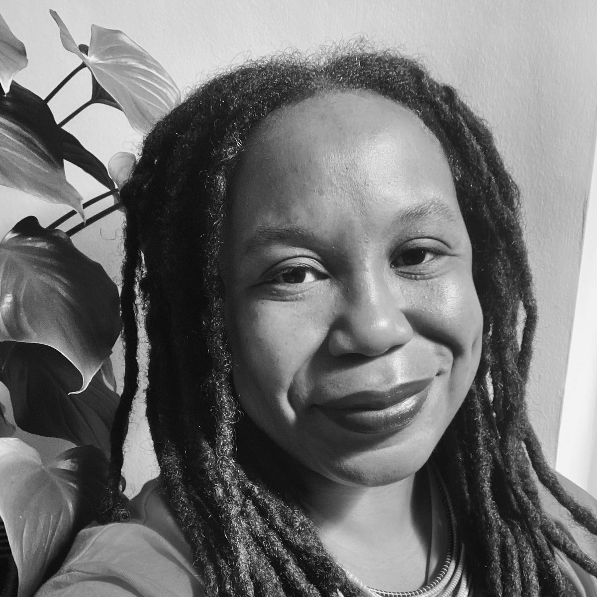 Akwugo Emejulu – Silver Press